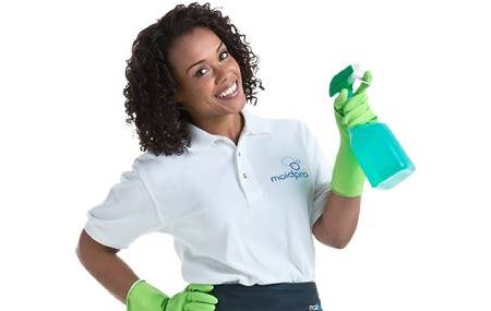 🥇 The 7 Best Cleaning Services in Calgary - Affordable Services